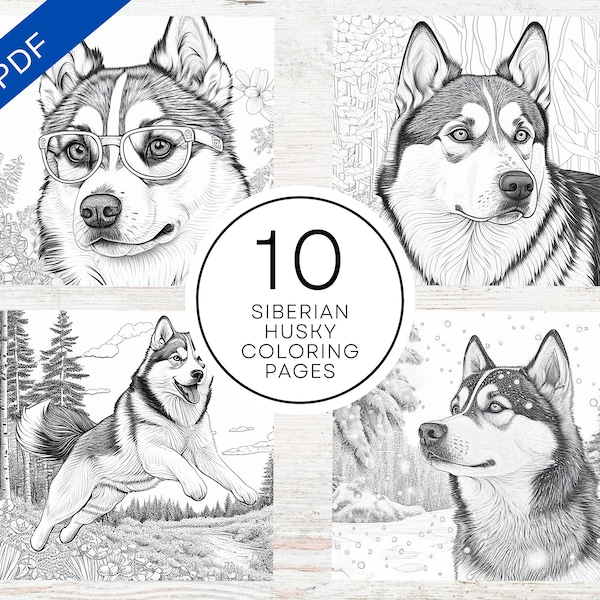 Siberian Husky Art - Etsy