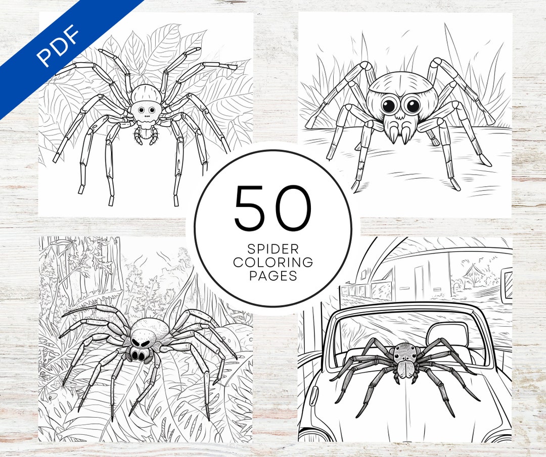 KDP Interior Spider Coloring Pages | 8.5" X 11" Printable PDF & Canva ...