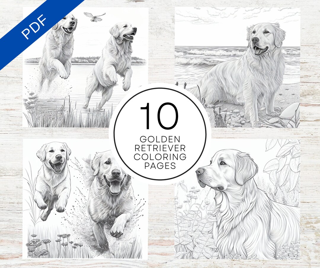 10 Cute Golden Retriever Coloring Pages | A4 Printable PDF | Dog ...
