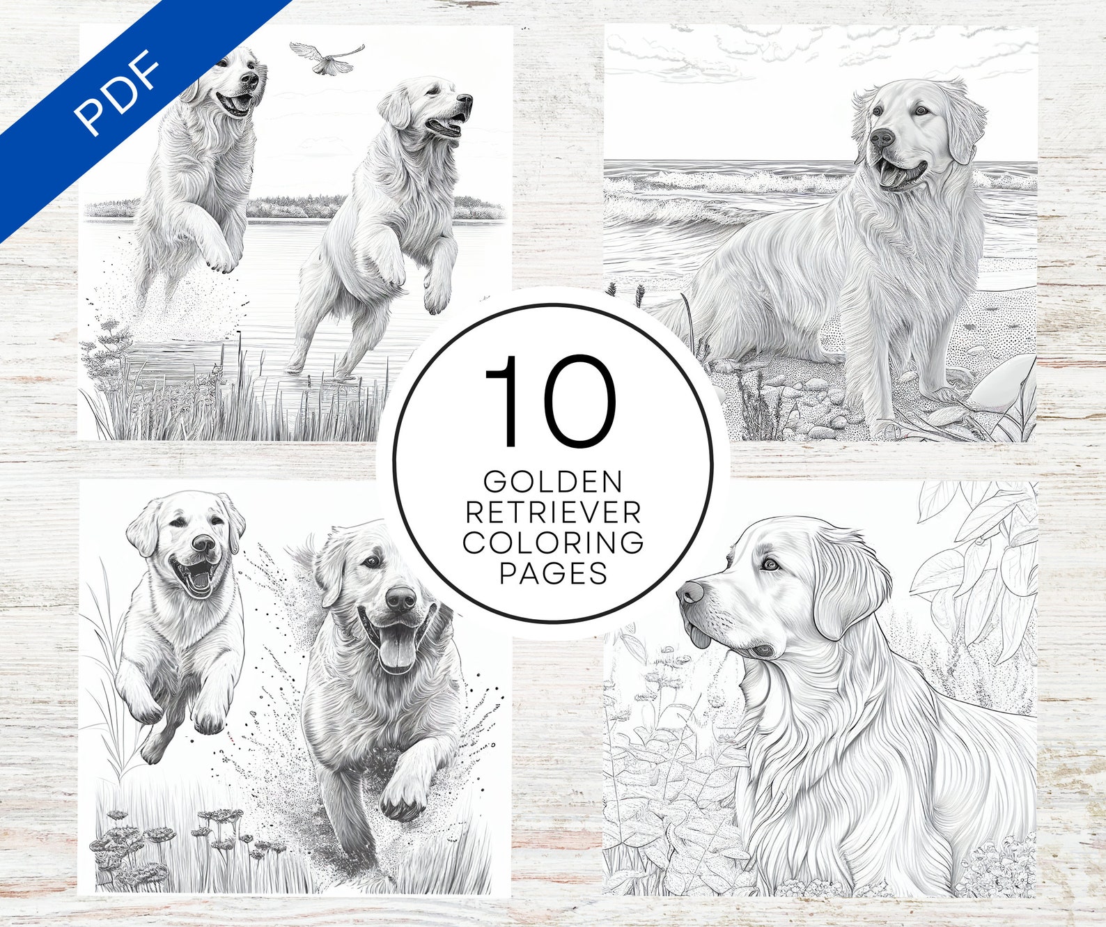 10 Cute Golden Retriever Coloring Pages | A4 Printable PDF | Dog ...