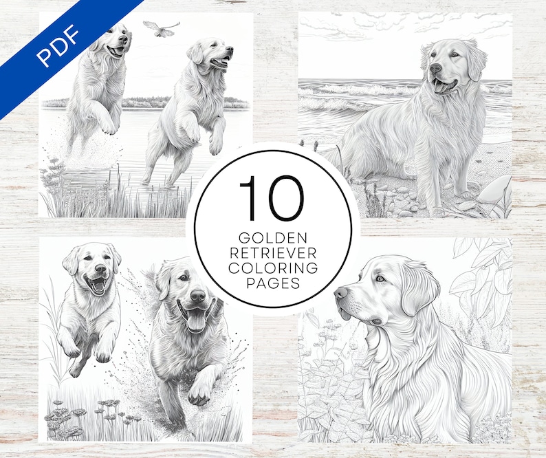 10 Cute Golden Retriever Coloring Pages | A4 Printable PDF | Dog ...