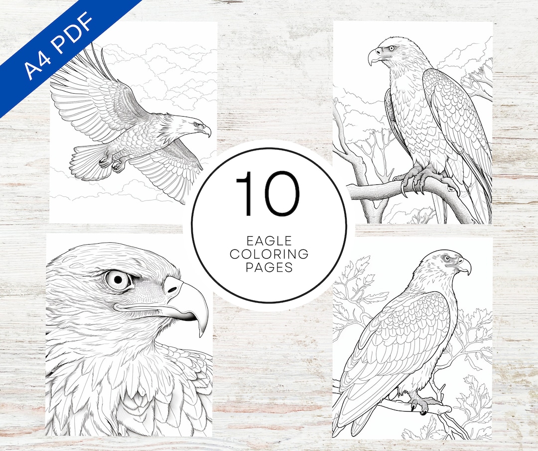 10 Eagle Coloring Pages | A4 Printable PDF | Bird Coloring Sheets for ...