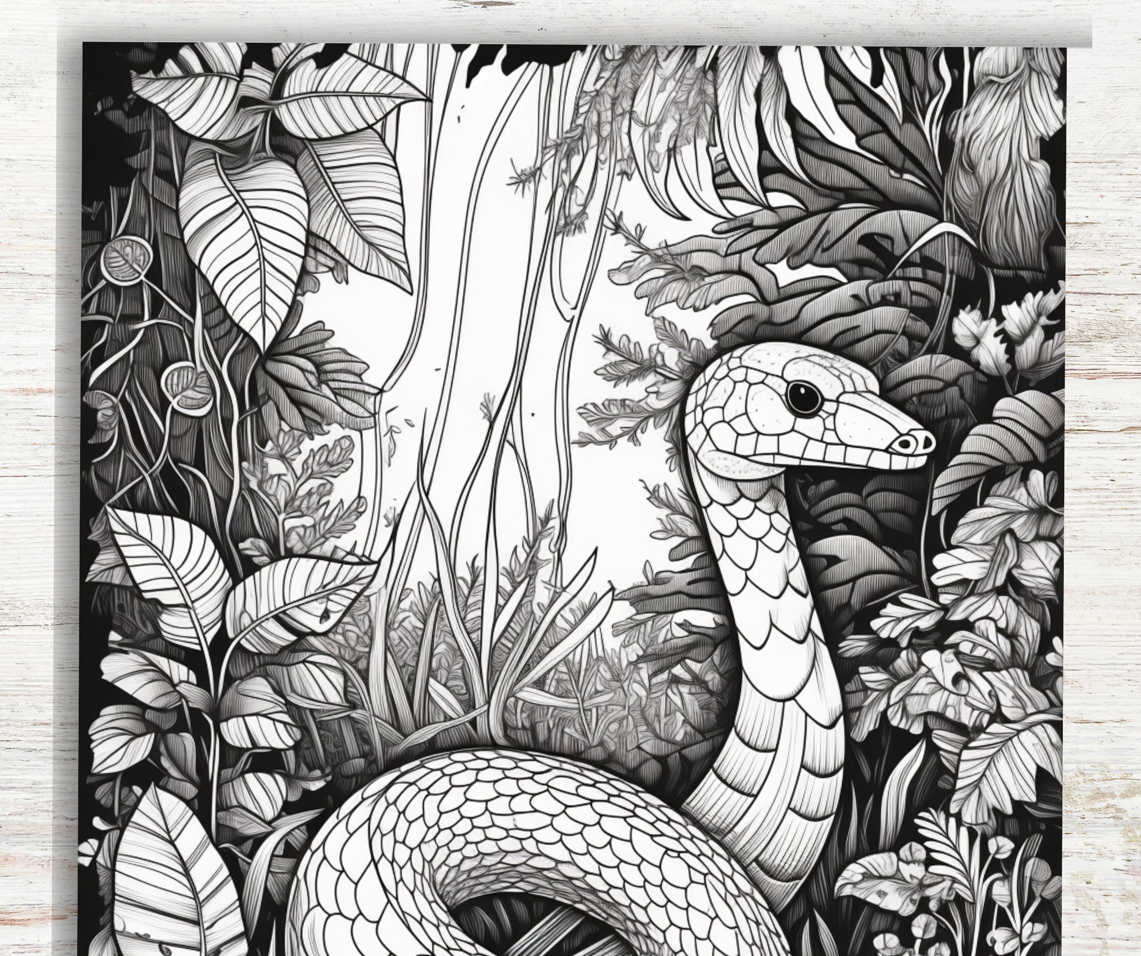 10 Snake Coloring Pages for Kids | A4 Printable PDF | Reptile Coloring ...