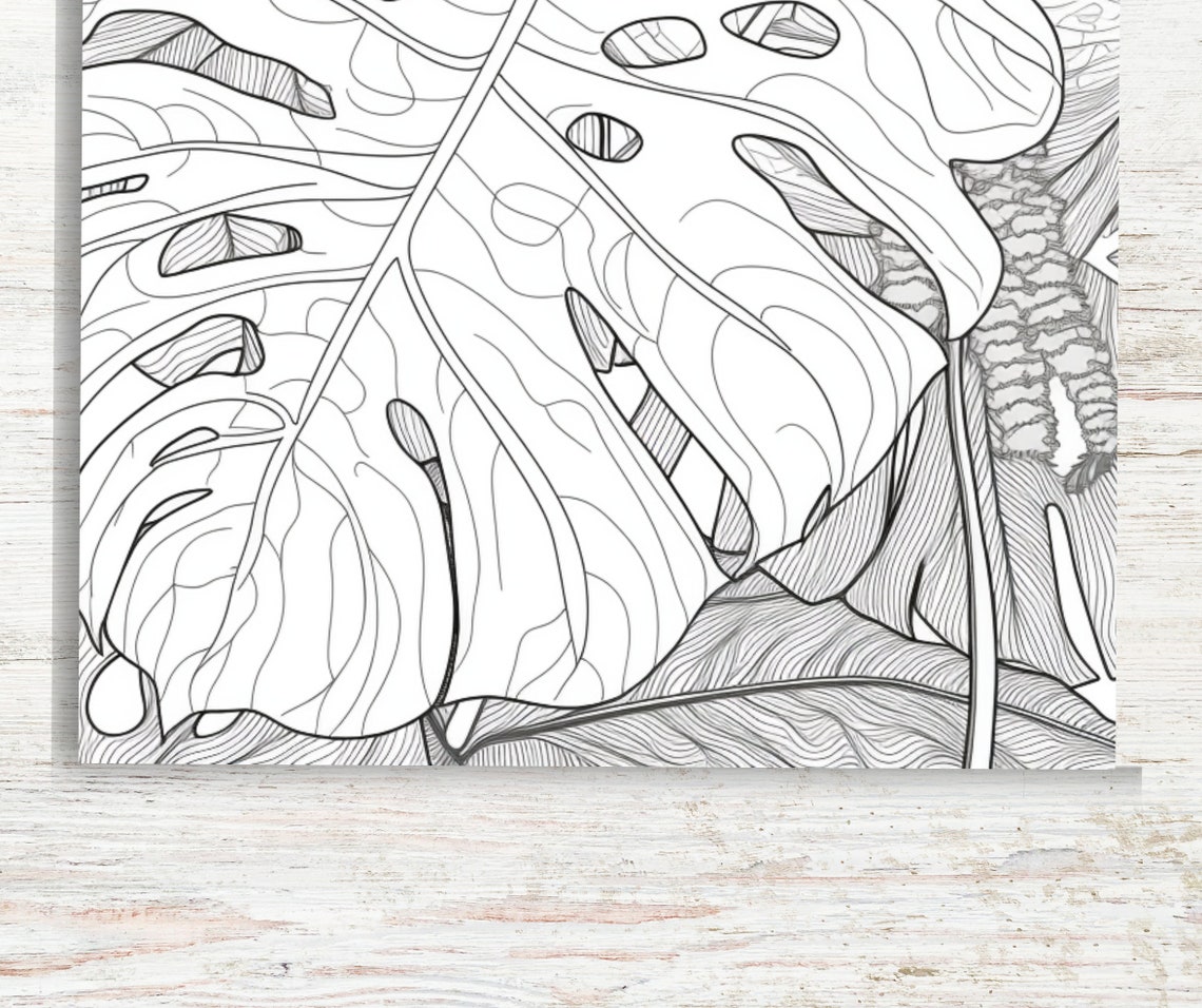 10 Monstera Flower Coloring Pages | Printable PDF A4 | Exotic Botanical ...