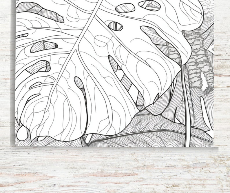 10 Monstera Flower Coloring Pages | Printable PDF A4 | Exotic Botanical ...