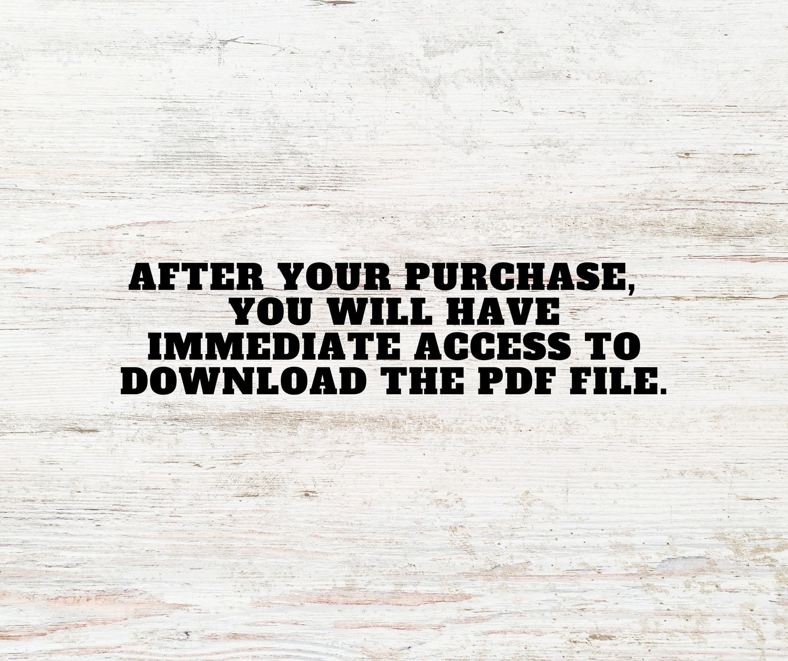 10 Bugs & Flowers Coloring Pages | Printable PDF A4 | Spring Insects ...