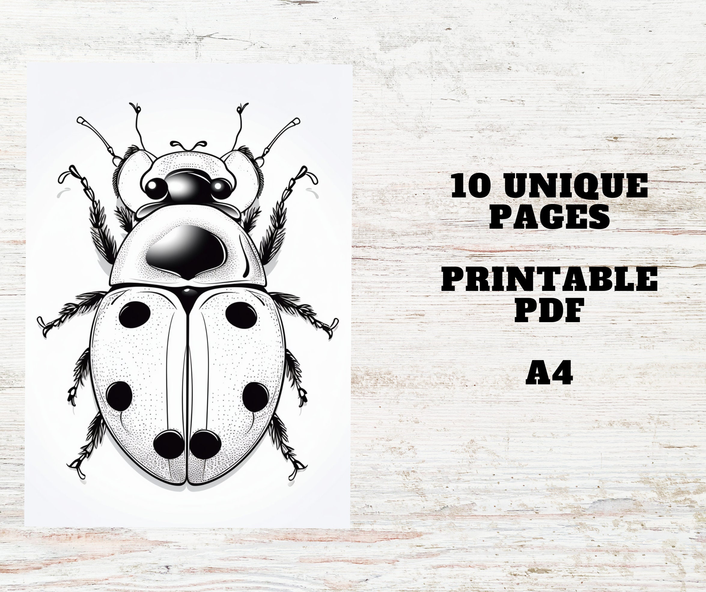 10 Ladybug Coloring Pages | A4 Printable PDF | Bug Coloring Book for ...
