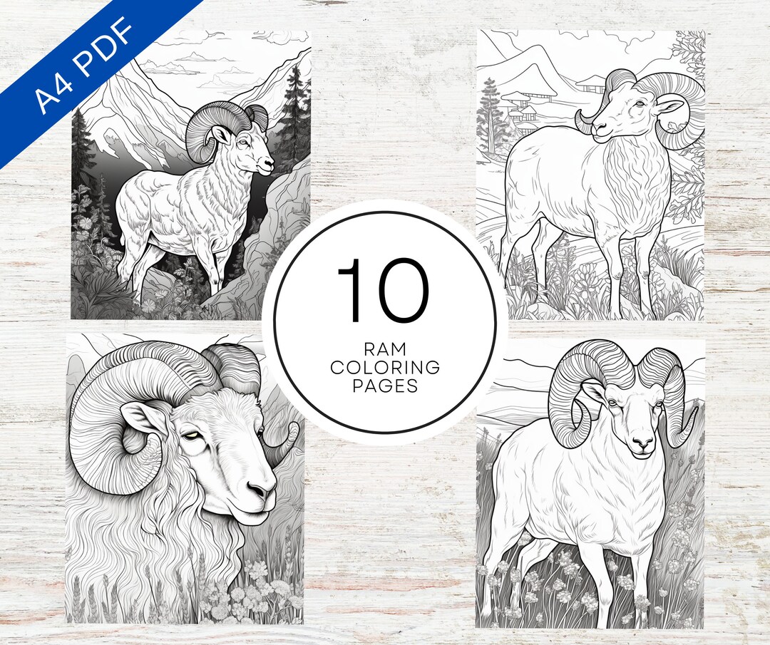 10 Ram Coloring Pages for Teens & Adults | A4 Printable Animal Coloring ...