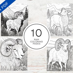10 Ram Coloring Pages for Teens & Adults | A4 Printable Animal Coloring ...