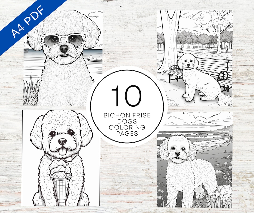 10 Bichon Frise Dogs Coloring Pages | A4 Printable PDF | Cute Dog ...