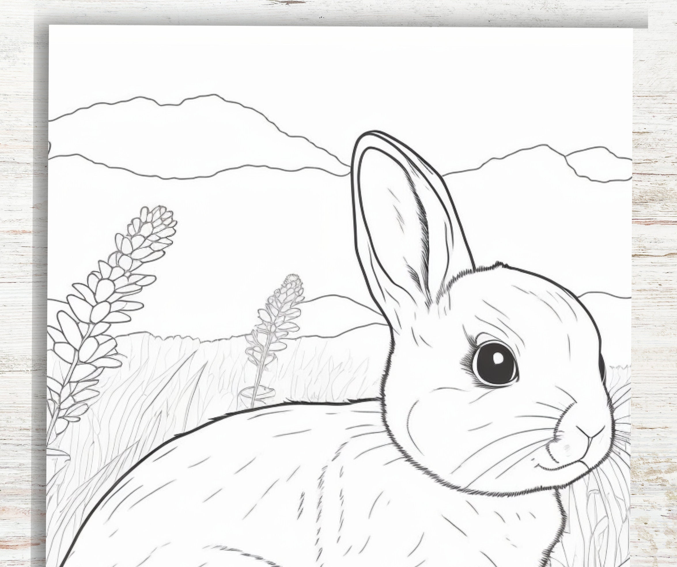 Arctic Hare Coloring Pages