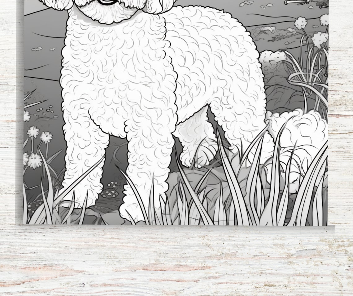 10 Bichon Frise Dogs Coloring Pages | A4 Printable PDF | Cute Dog ...