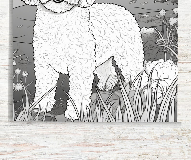 10 Bichon Frise Dogs Coloring Pages | A4 Printable PDF | Cute Dog ...