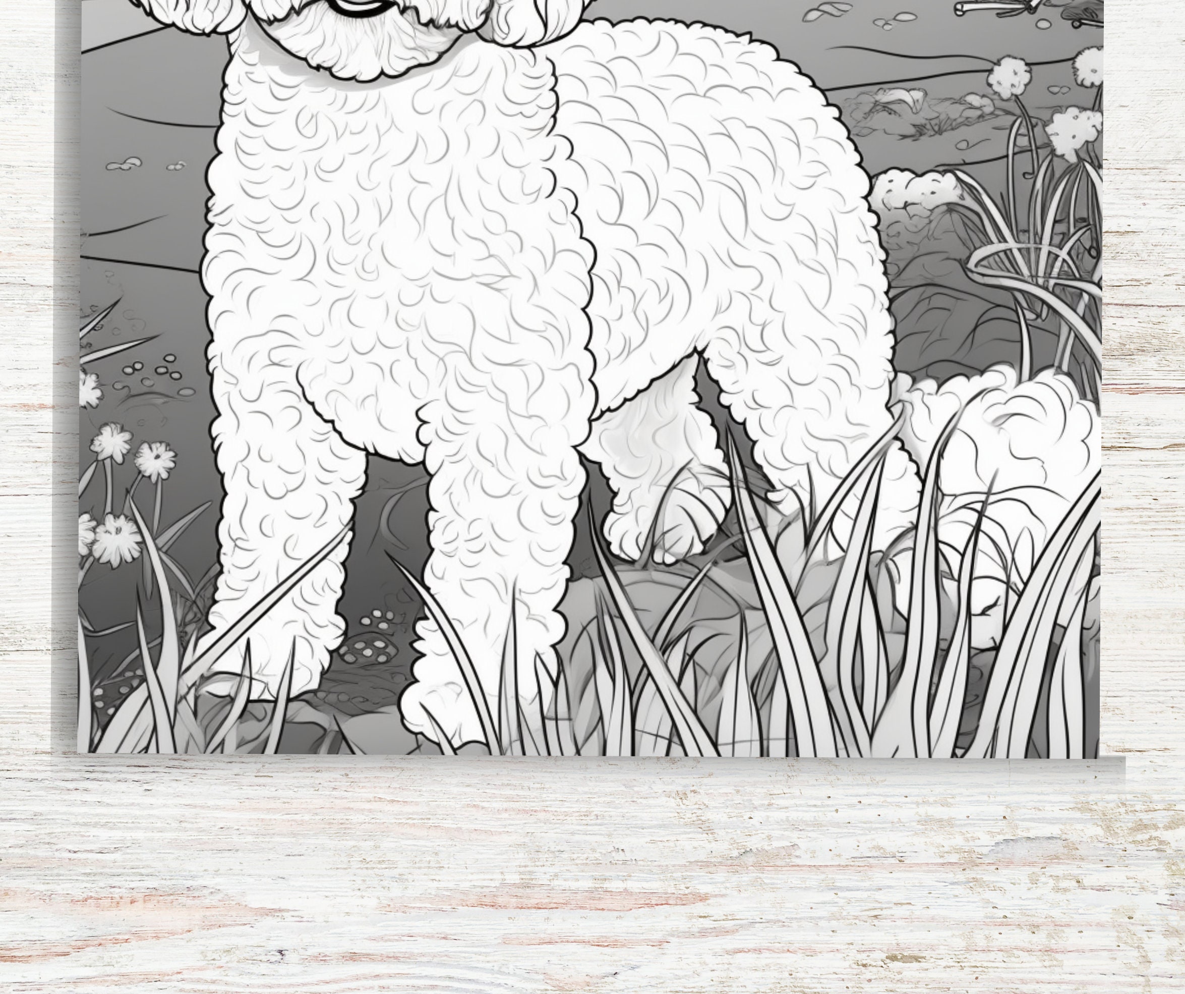 10 Bichon Frise Dogs Coloring Pages | A4 Printable PDF | Cute Dog ...