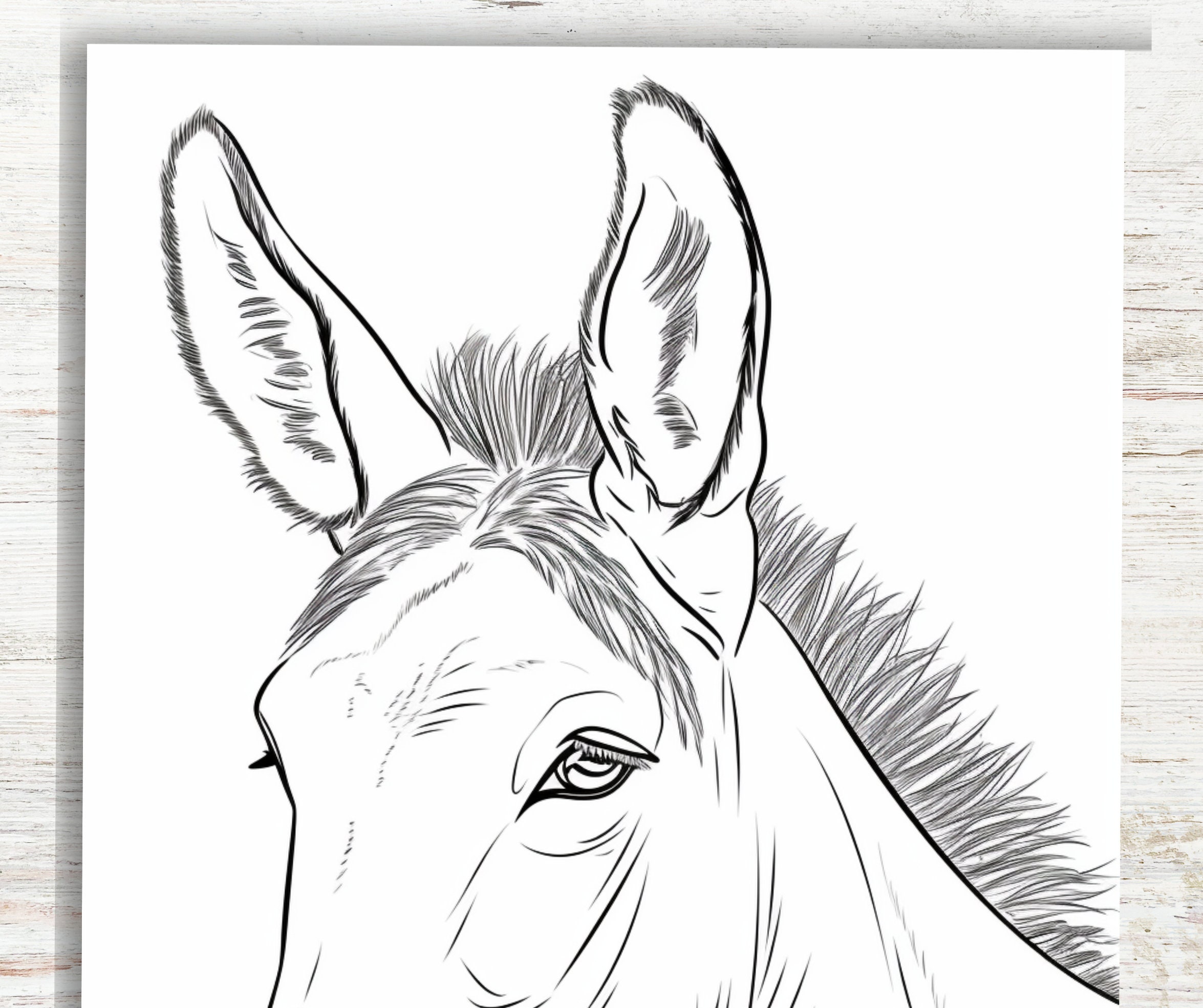 10 Donkey Coloring Pages | Printable PDF A4 | Farm Animal Coloring ...