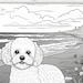 10 Bichon Frise Dogs Coloring Pages | A4 Printable PDF | Cute Dog ...
