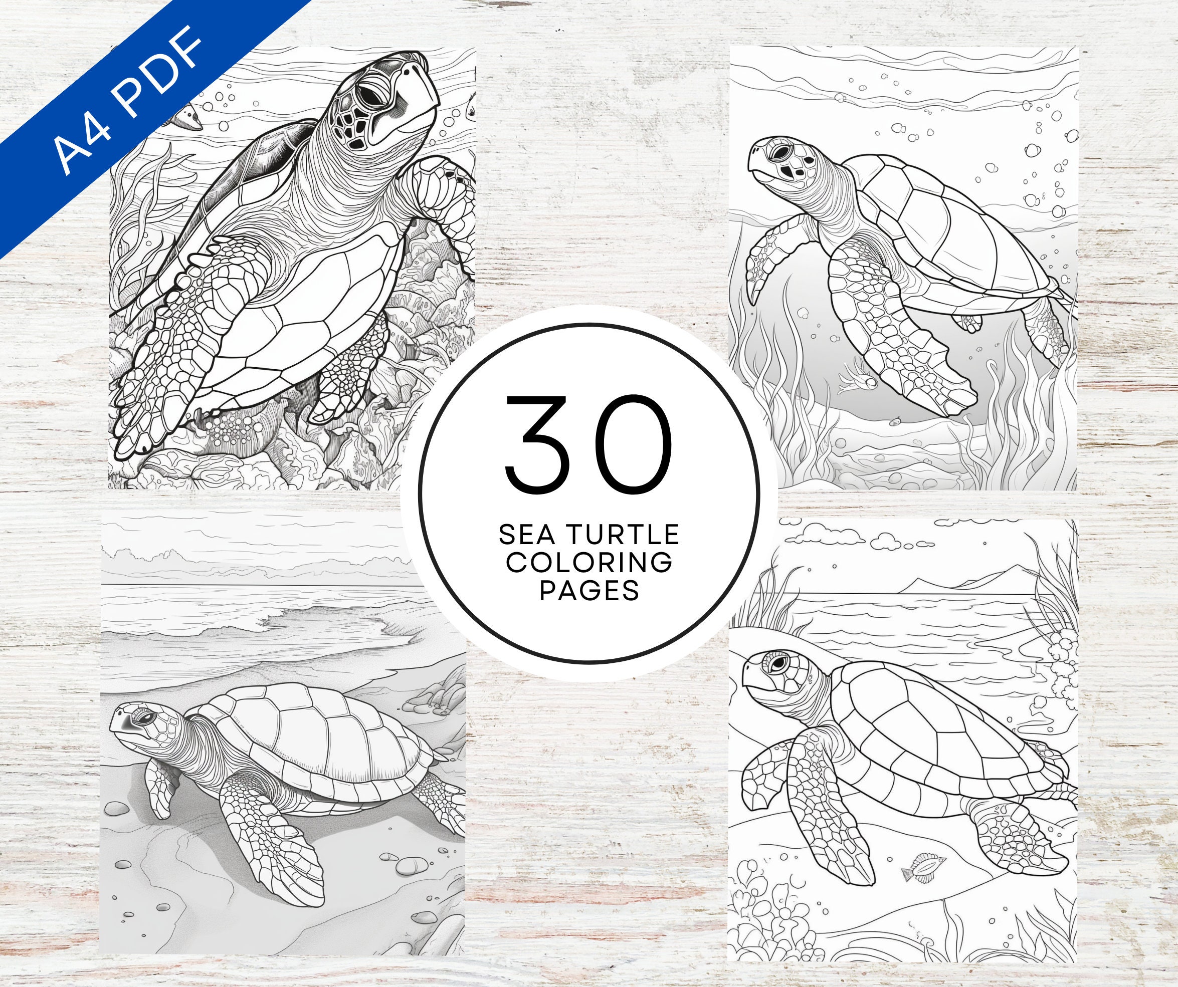 30 Sea Turtle Coloring Pages | A4 Printable PDF | Kids Coloring Book ...