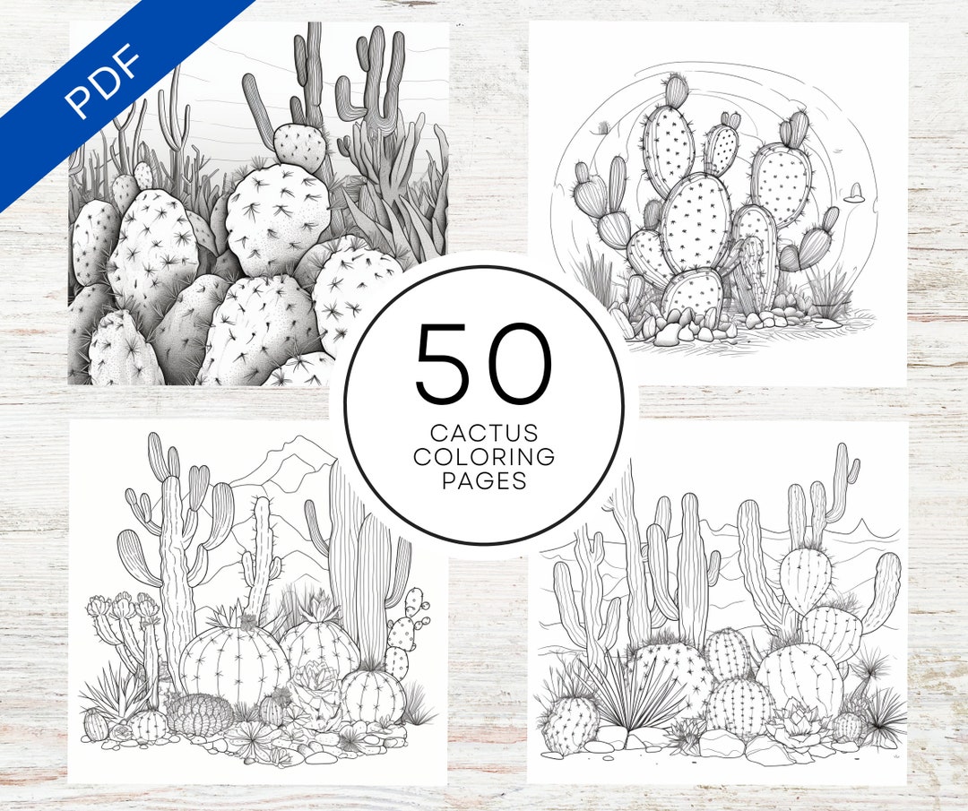KDP Interior 50 Cactus Coloring Pages for Kids | 8.5" X 11" Printable ...
