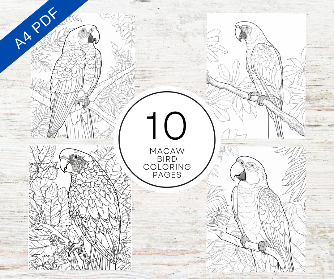 10 Macaw Bird Coloring Pages | Printable PDF A4 | Beautiful Birds ...