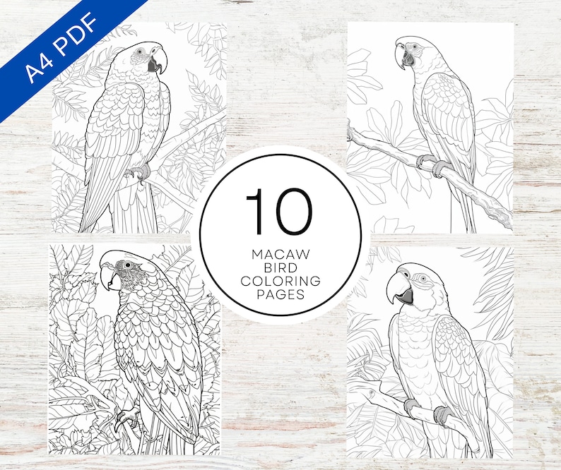 10 Macaw Bird Coloring Pages | Printable PDF A4 | Beautiful Birds ...