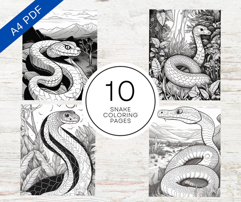 10 Snake Coloring Pages for Kids | A4 Printable PDF | Reptile Coloring ...