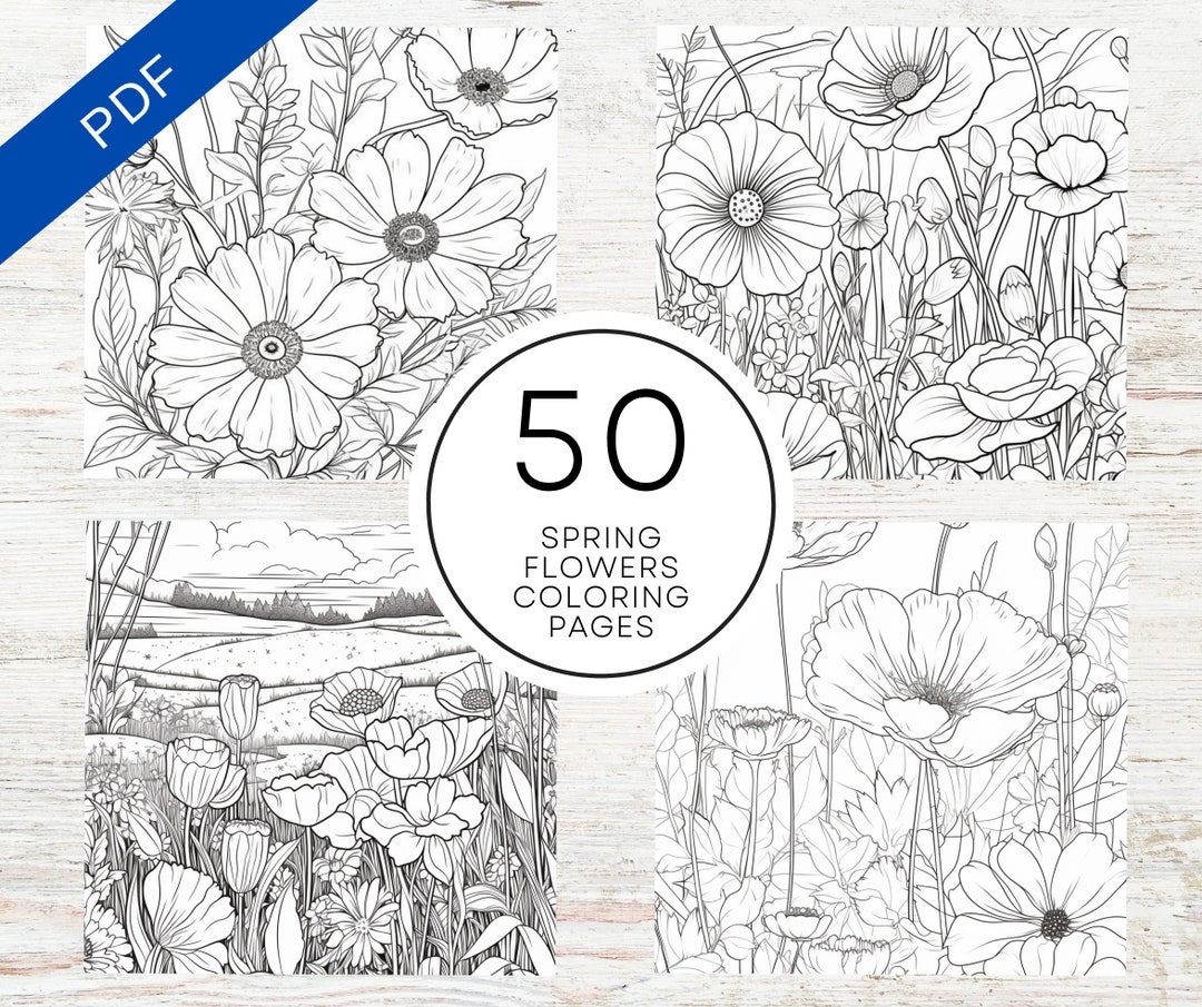 KDP Interior 50 Spring Flowers Coloring Pages for Adults | 8.5" X 11 ...