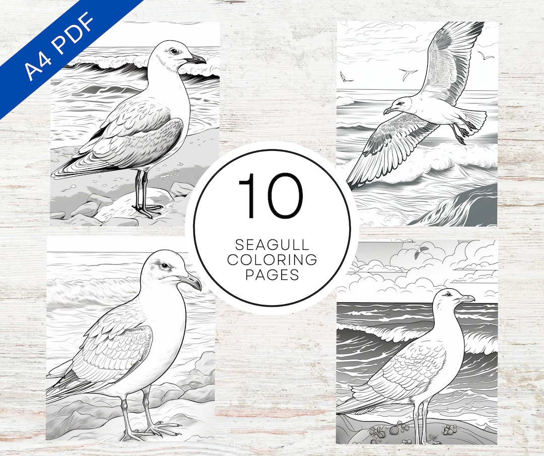 10 Seagull Bird Coloring Pages | Printable PDF A4 | Sea Birds Coloring ...