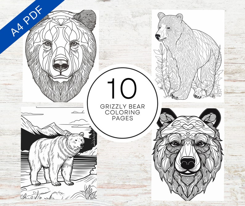 10 Grizzly Bear Coloring Pages | Printable PDF A4 | Adult and Teens ...