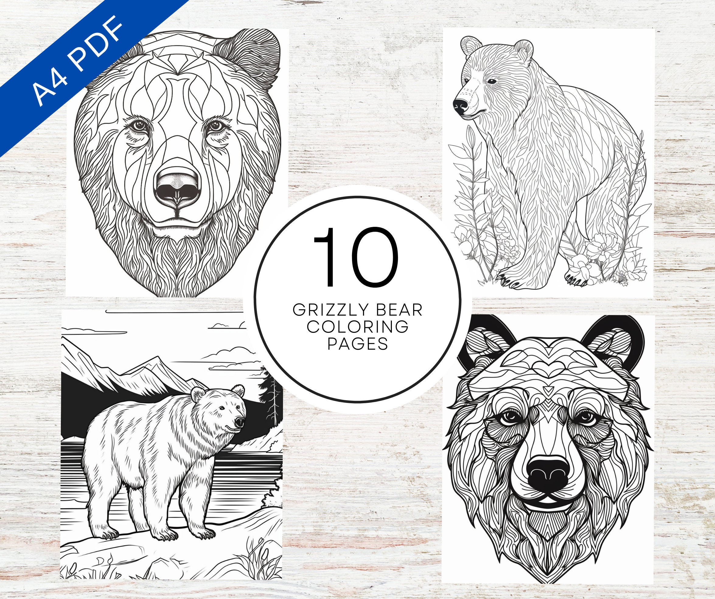 Dibujos Para Colorear De Osos Pardos Para Imprimir Página Para