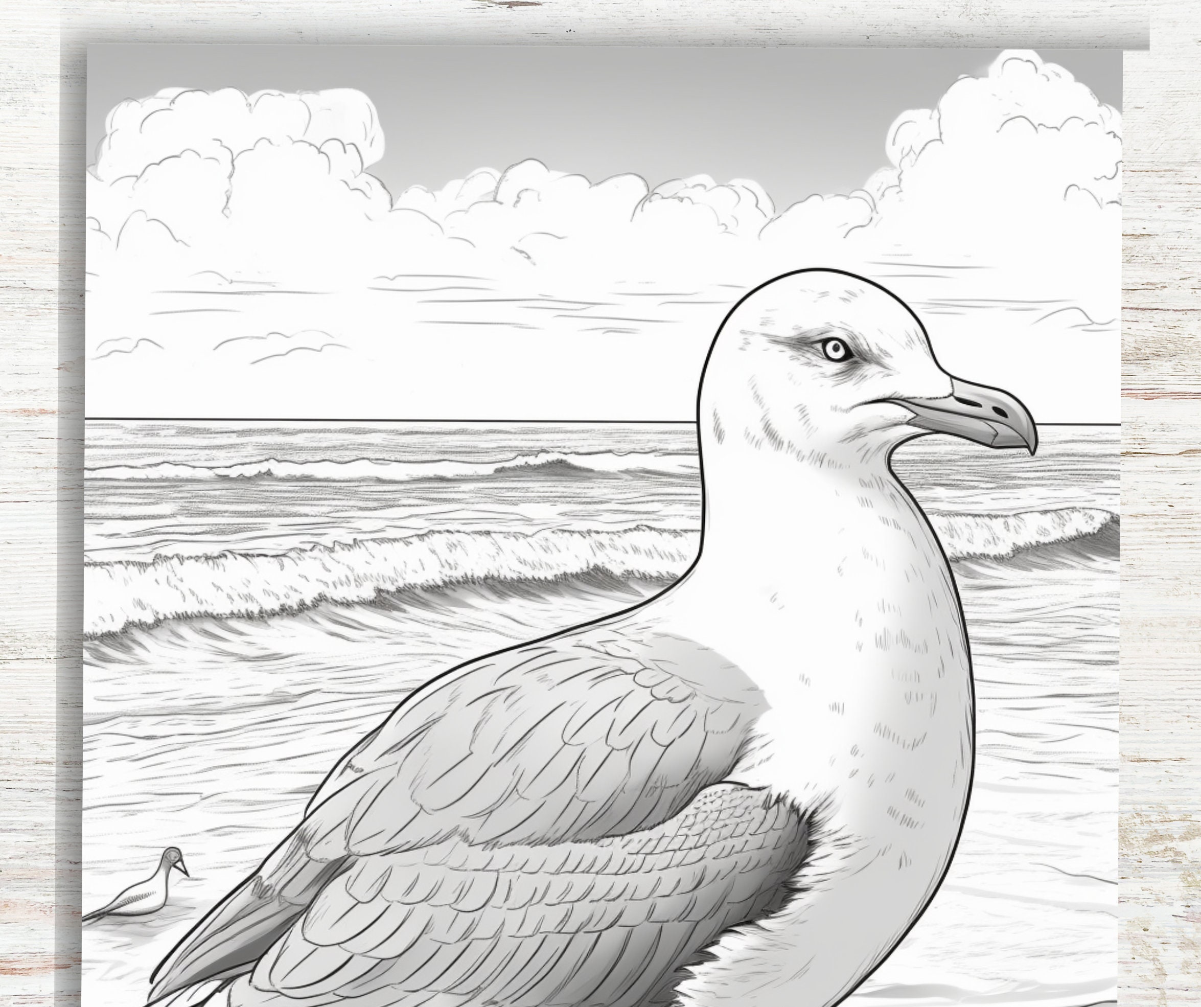 10 Seagull Bird Coloring Pages | Printable PDF A4 | Sea Birds Coloring ...