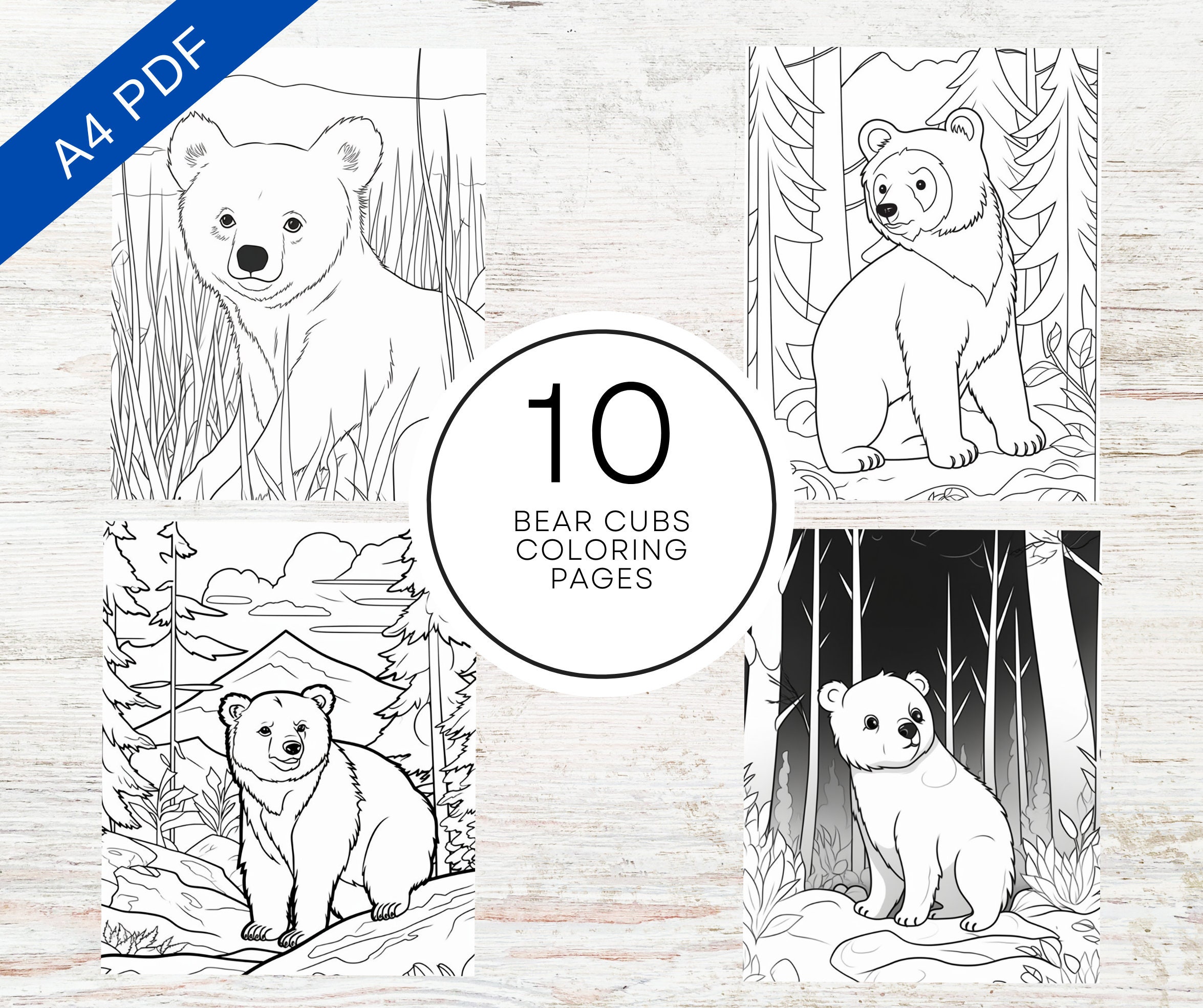 10 Baby Bear Cubs Coloring Pages | Printable PDF A4 | Adult and Teens ...