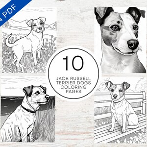 10 Jack Russell Terrier Dogs Coloring Pages | Printable Dog Coloring ...