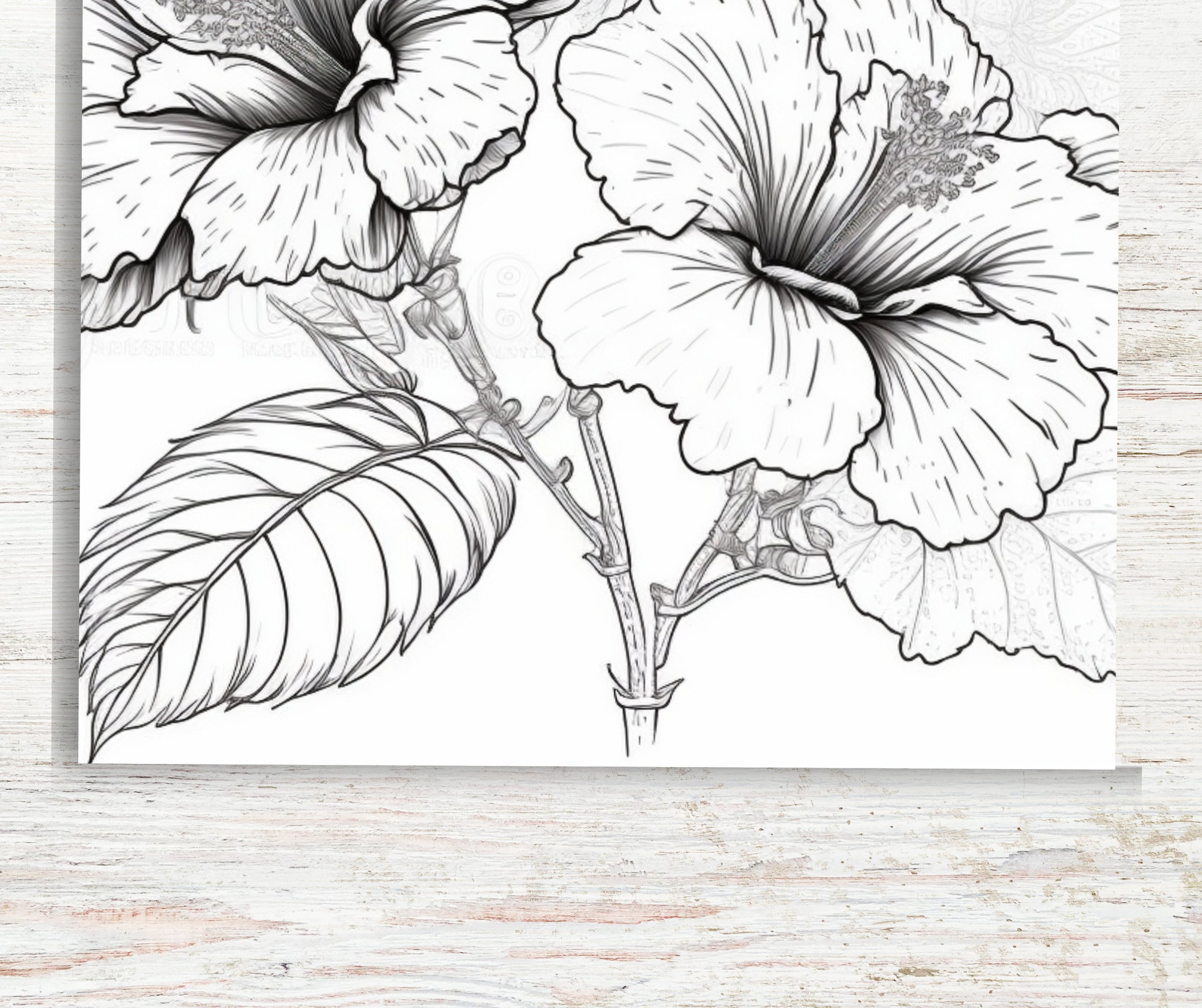 20 Flower Coloring Pages With Positive Affirmations | Printable PDF 20 ...