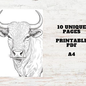 10 Bull Coloring Pages for Teens & Adults | A4 Printable Animal ...
