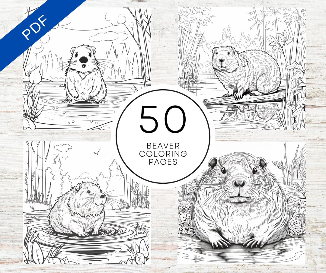 KDP Interior 50 Beaver Coloring Pages | 8.5" X 11" Printable PDF ...