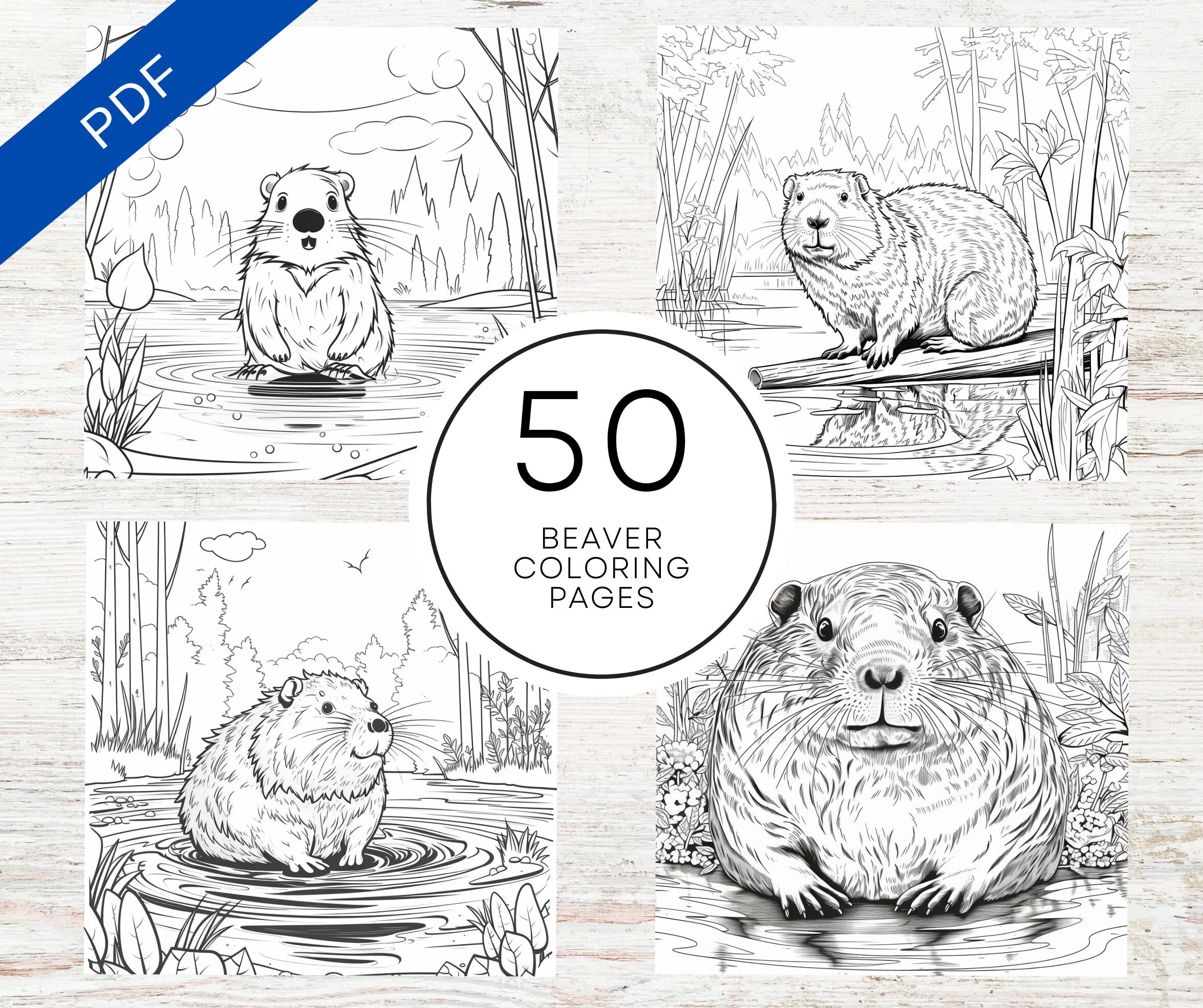KDP Interior 50 Beaver Coloring Pages | 8.5" X 11" Printable PDF ...
