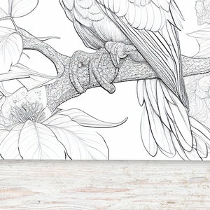 10 Parrot Coloring Pages | Printable Grayscale Parrots Coloring Sheets ...