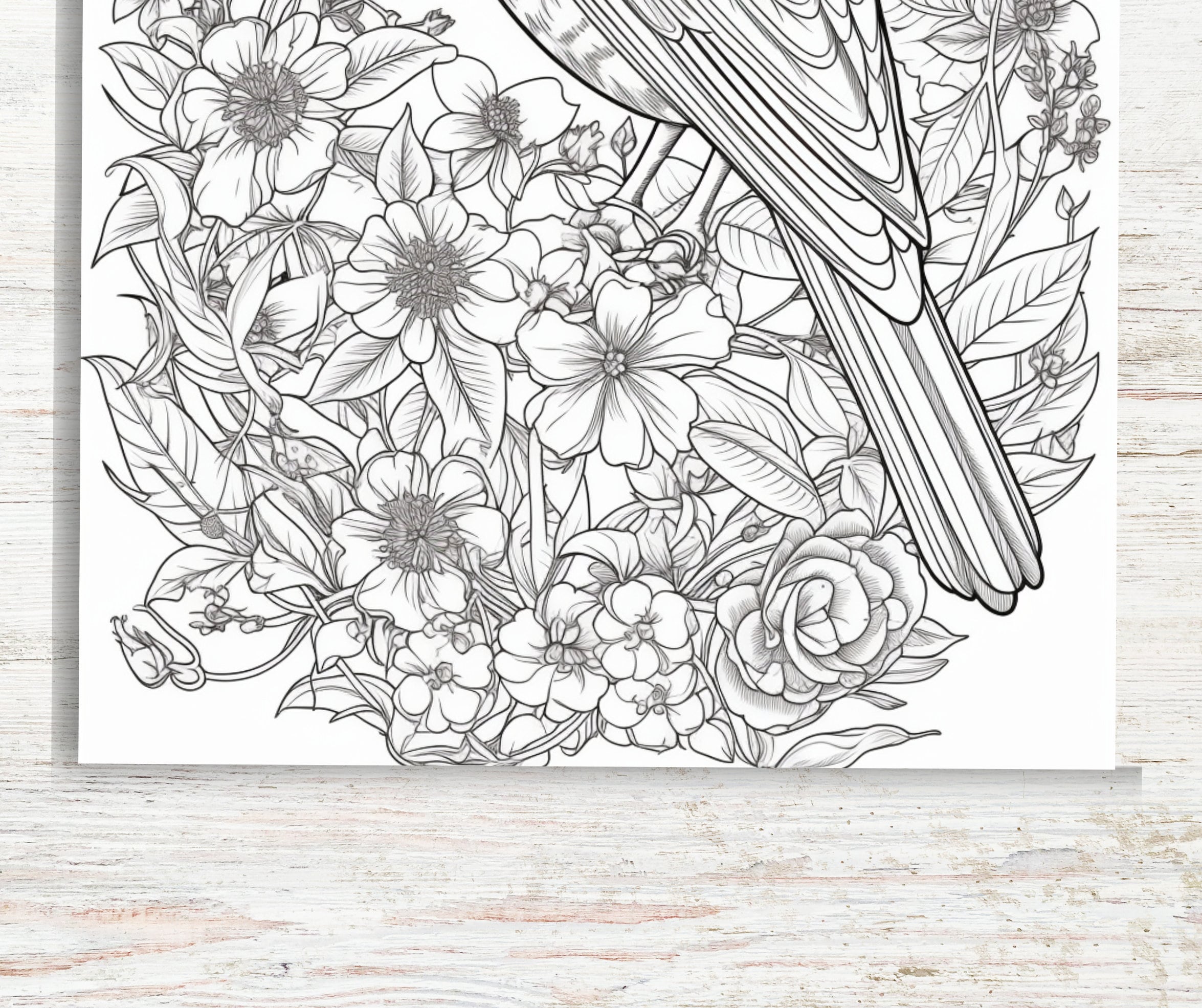 50 Bird & Flower Coloring Pages | A4 Printable PDF | Adult and Kids ...