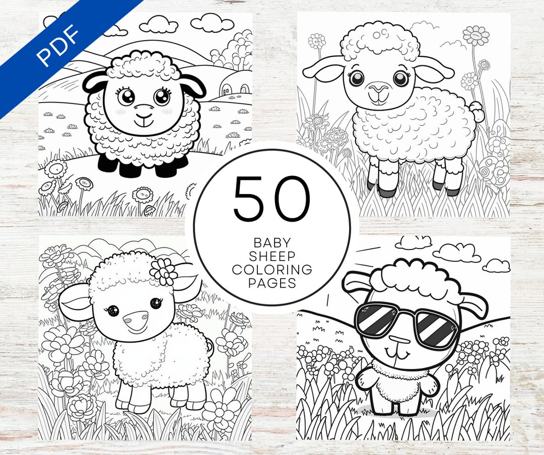 KDP Interior 50 Baby Sheep Coloring Pages | 8.5" X 11" Printable PDF ...