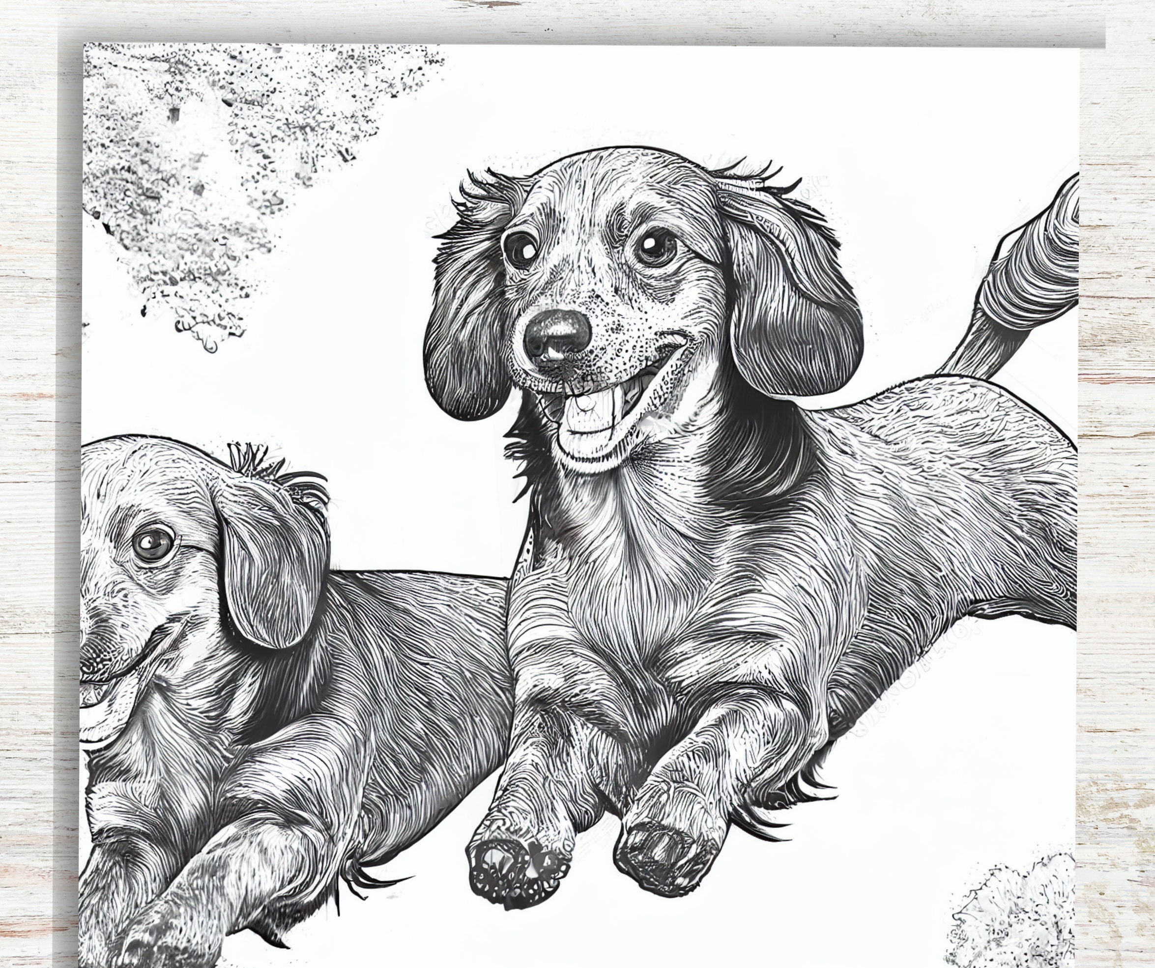 10 Cute Dachshund Dogs Coloring Pages | Printable Dog Coloring Sheets ...