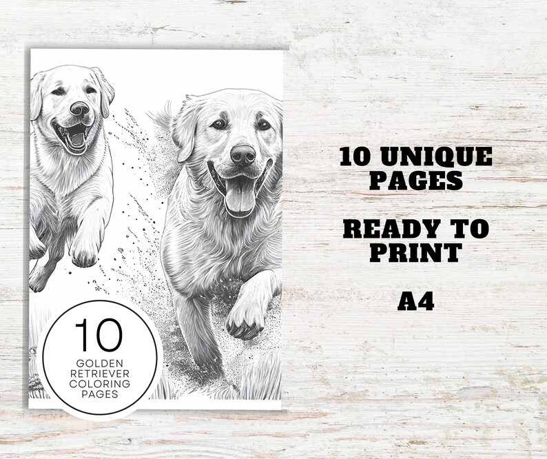 10 Cute Golden Retriever Coloring Pages | A4 Printable PDF | Dog ...