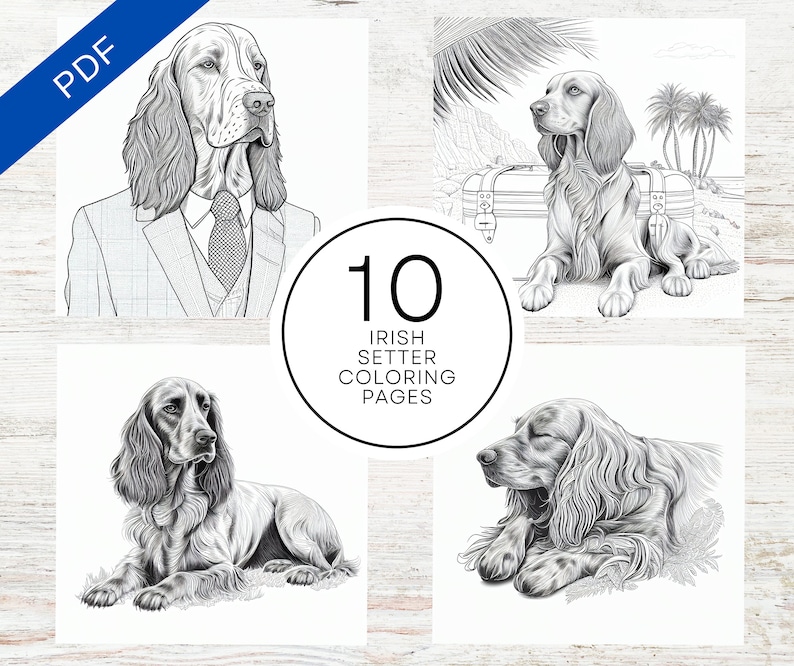 10 Irish Setter Coloring Pages | Printable Dog Coloring Sheets for ...