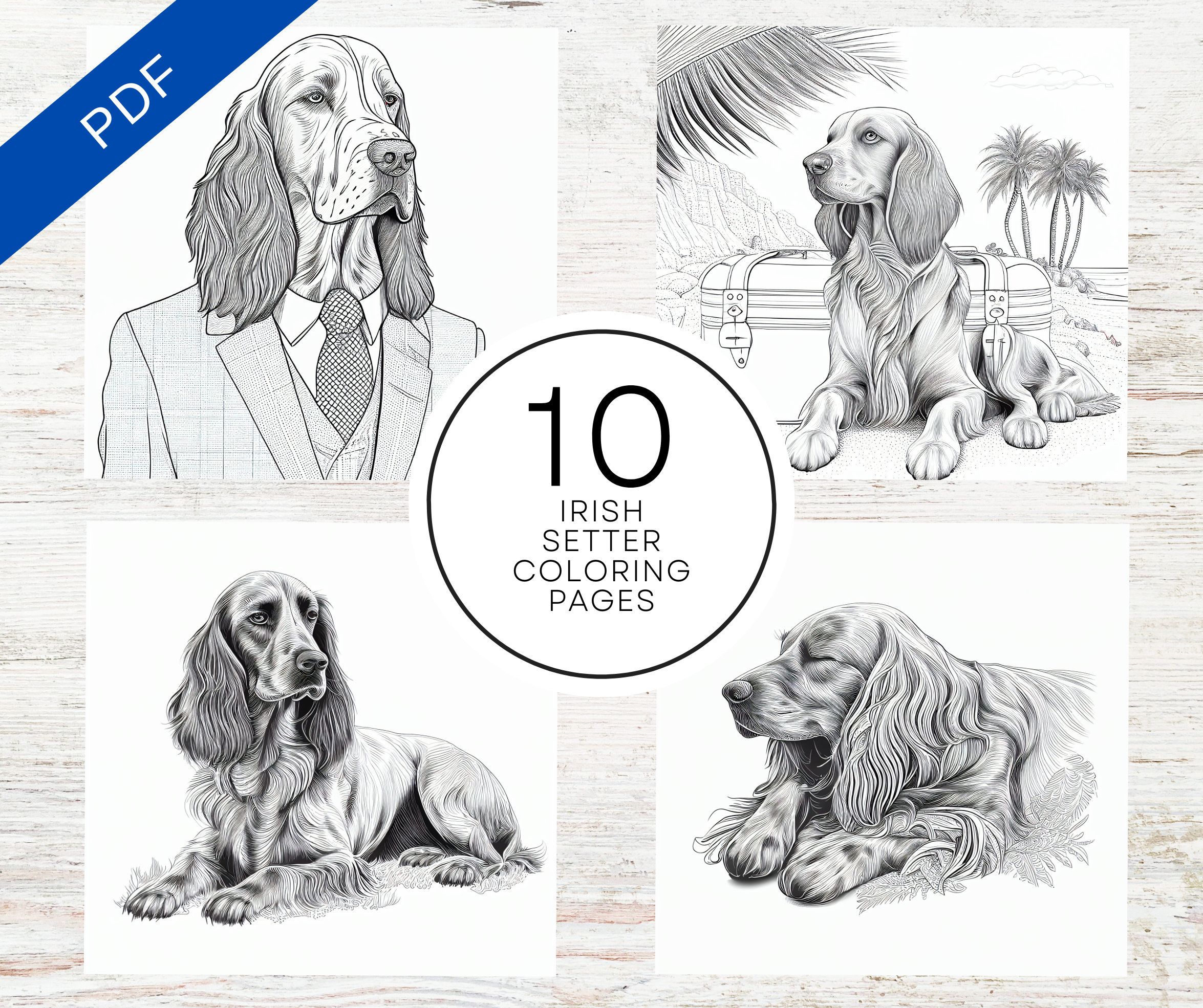 Irish Setter Coloring Pages