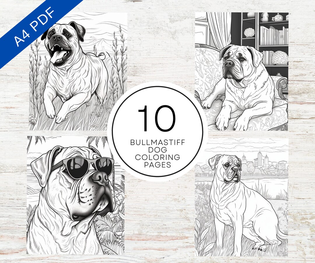 10 Bullmastiff Dogs Coloring Pages | A4 Printable PDF | Cute Dog ...