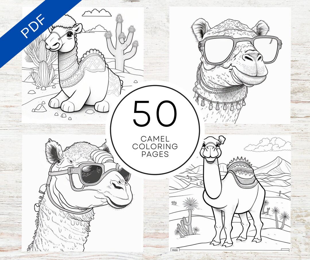KDP Interior Camel Coloring Pages for Kids | 8.5" X 11" Printable PDF ...
