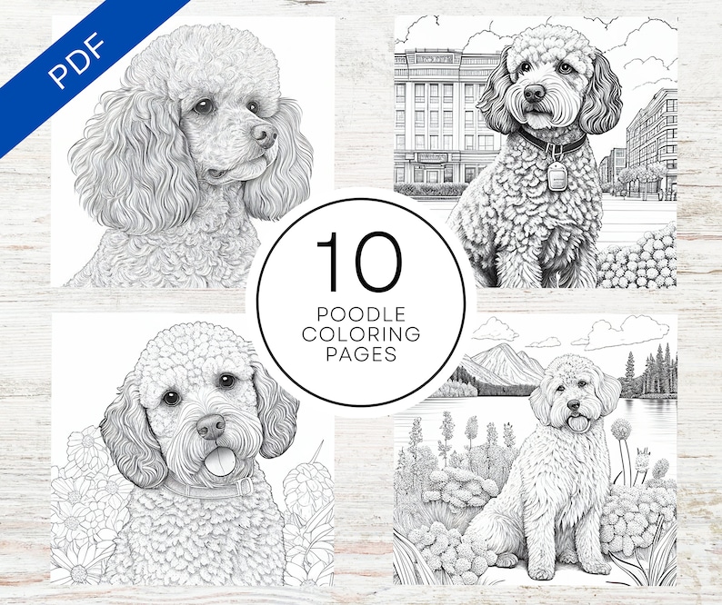 Poodle Dogs Coloring Pages | A4 Printable PDF | Dog Coloring Sheets for ...