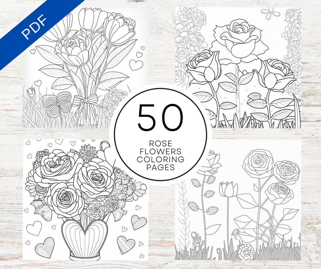 KDP Interior 50 Rose Flower Coloring Pages for Adults | 8.5" X 11 ...