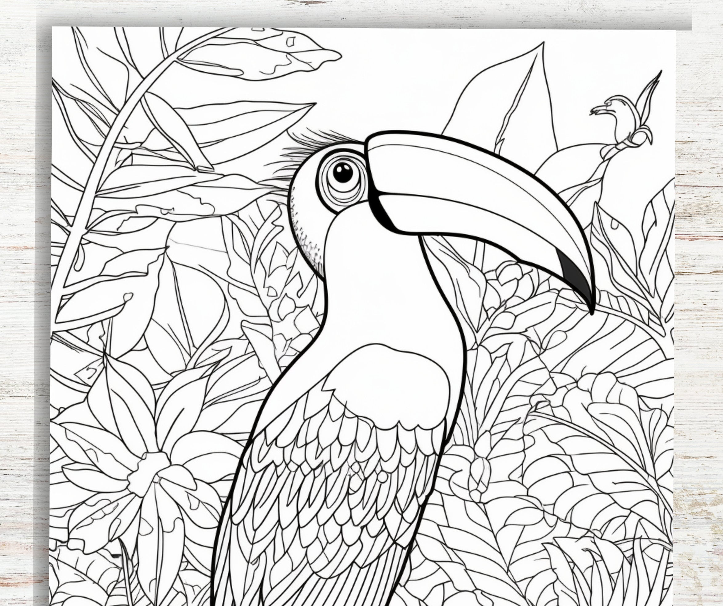 10 Toucan Coloring Pages | Printable PDF A4 | Beautiful Birds | Animal ...