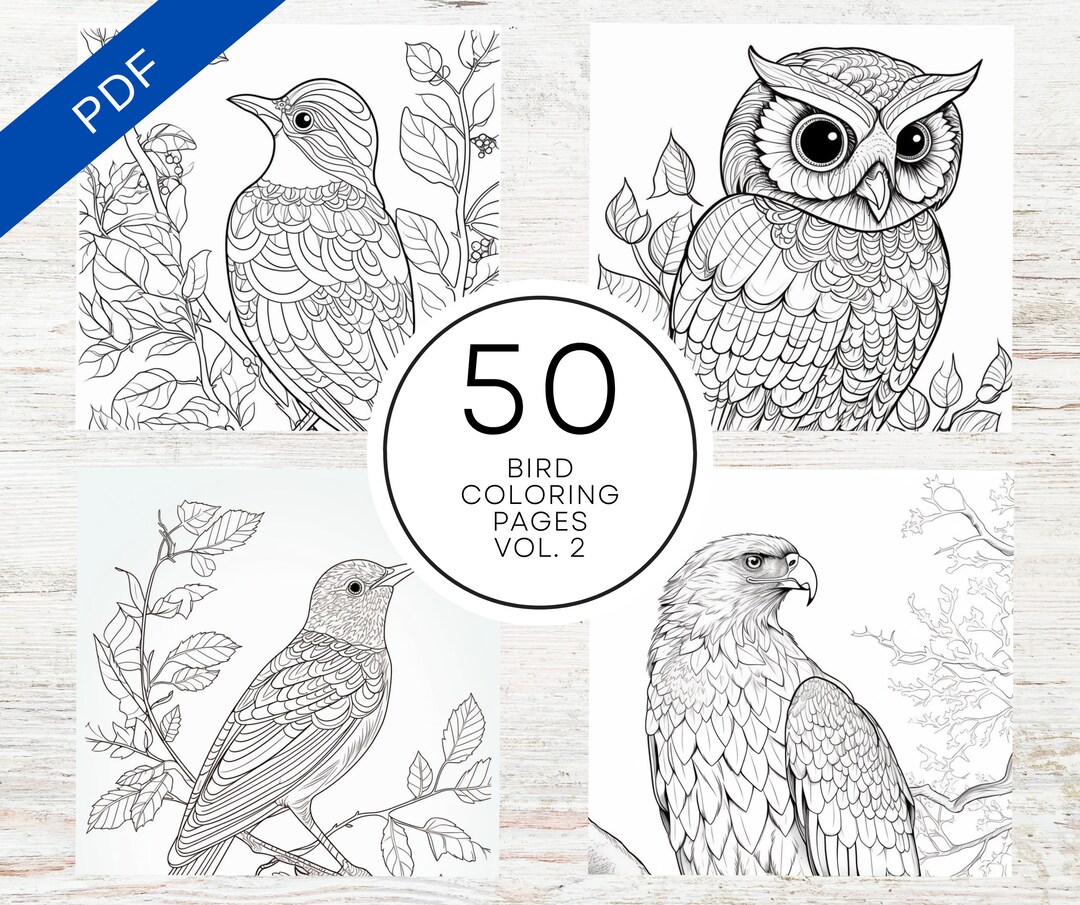 KDP Interior 50 Bird Coloring Pages Vol. 2 | 8.5" X 11" Printable PDF ...