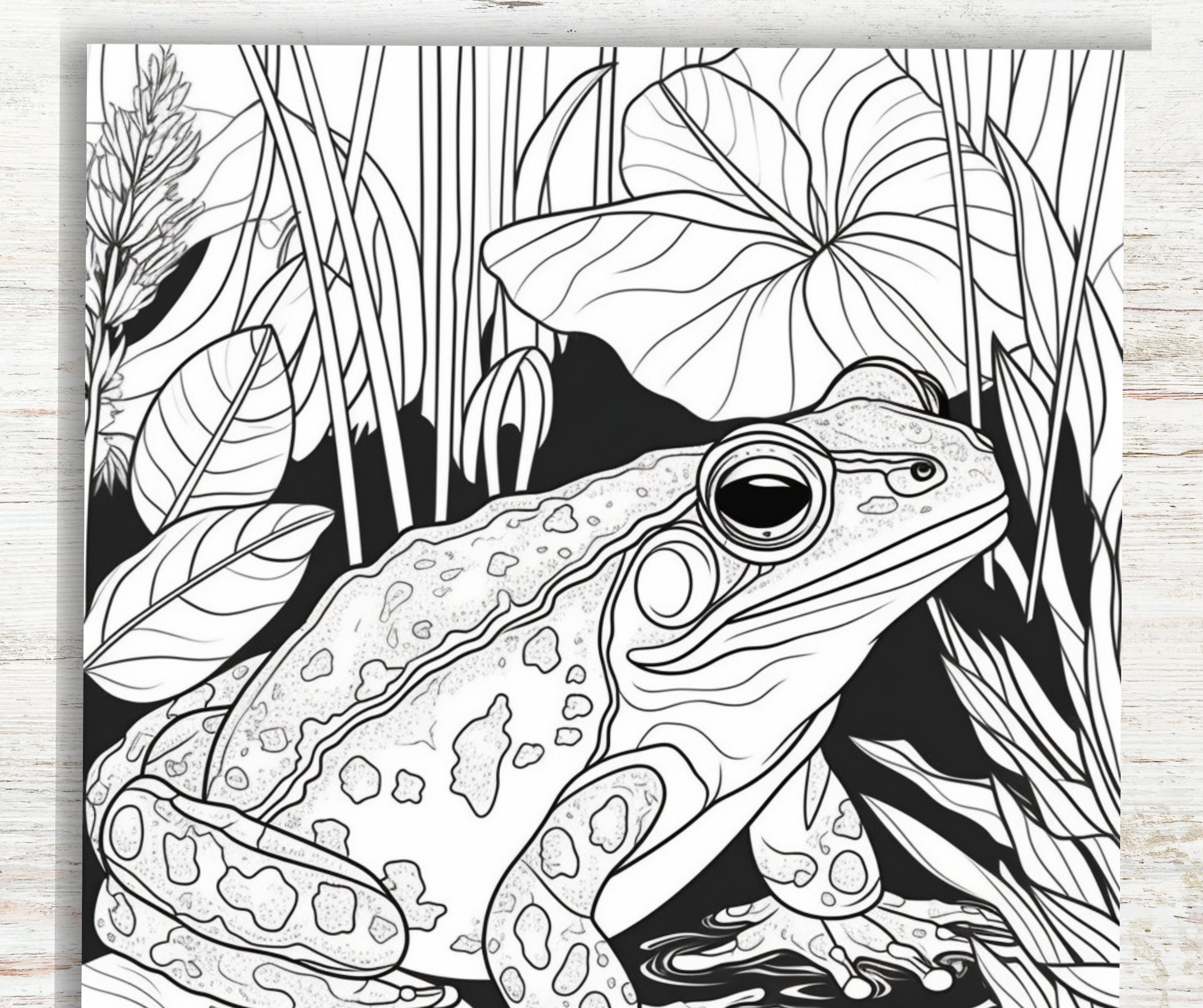 KDP Interior 50 Frogs Coloring Pages | 8.5" X 11" Printable PDF & Canva ...